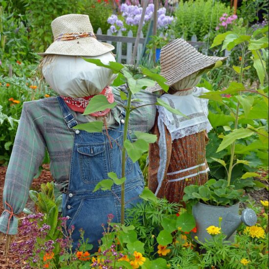 DIY Project: How to Make a Scarecrow • The Budget Decorator
