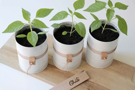 12 DIY Indoor Plant Pot Ideas (Your House Plants Will Love) • The ...